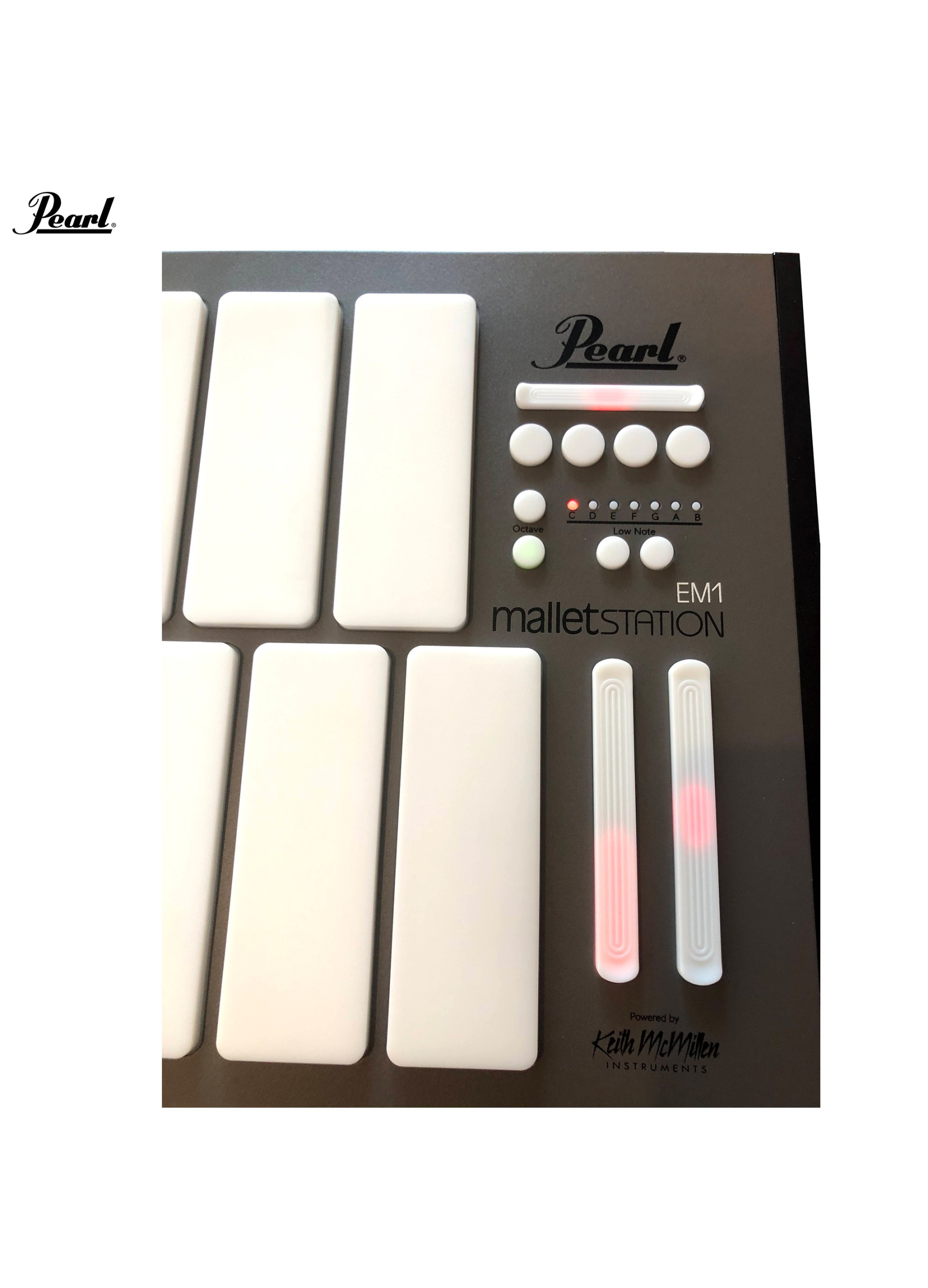 Pearl EM1 Mallet Station | Palladiummusic.it