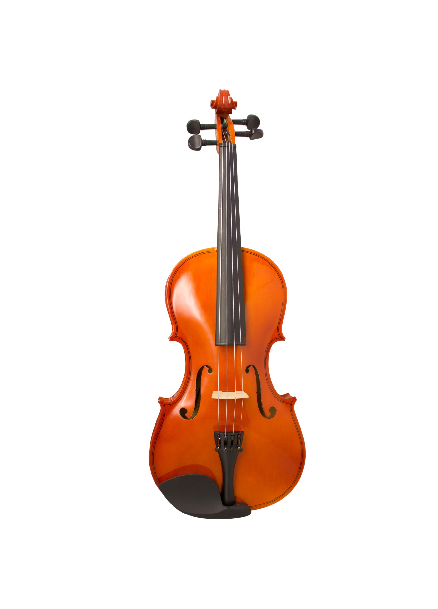 Viola Diamond | PalladiumMusic.it