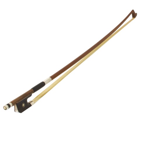 Archi | Strumenti Musicali ad Arco | PalladiumMusic.it